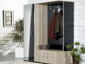 Vestiyer Modelleri – Dolap Center